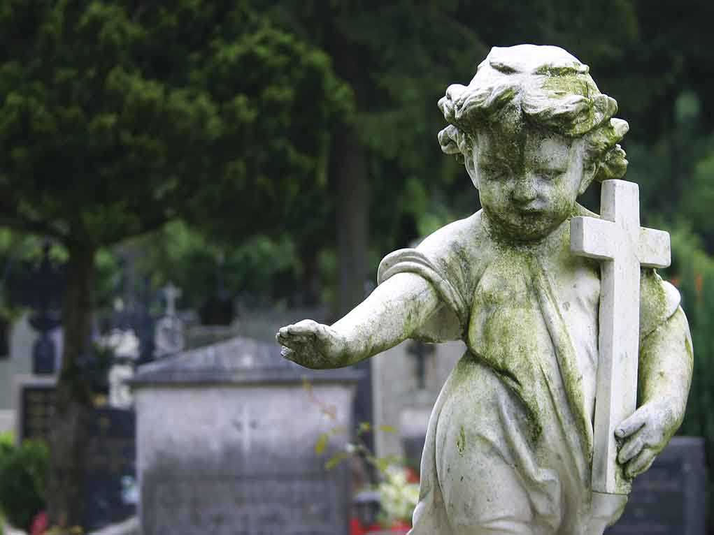 Grave Robber’s HORRIFYING Collection Exposed | Conservative Journal