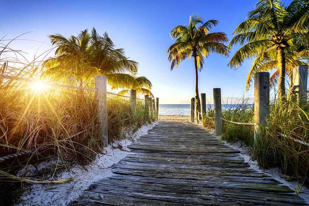 Dog’s Discovery Sparks Chilling Beach Mystery | Conservative Journal